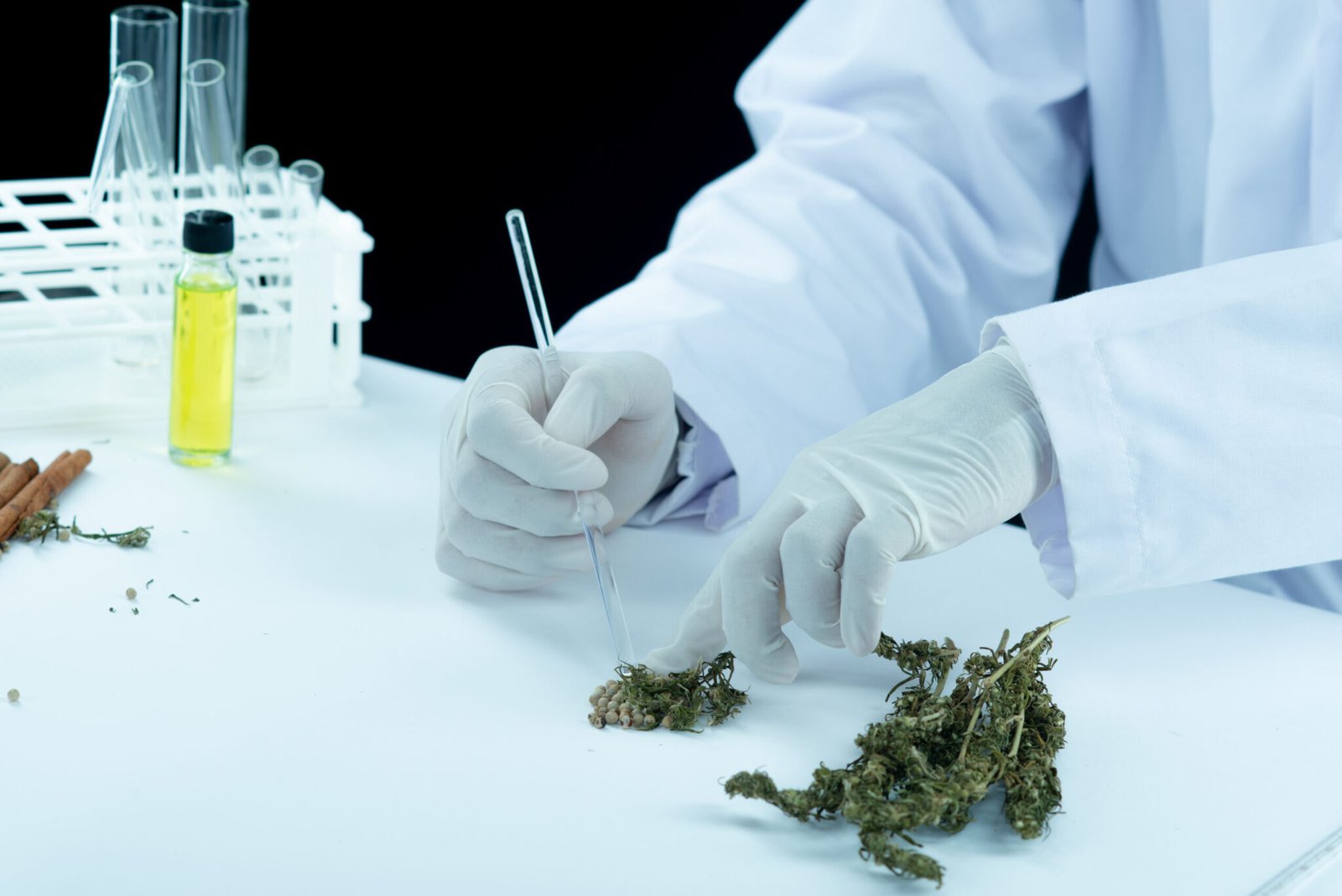 What Really Happens When Your Cannabis Gets Lab Tested? - ELAMatters